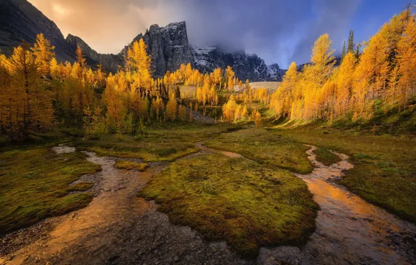 Wallpaper Alberta, Canada, British Columbia, autumn, Fall Color for ...