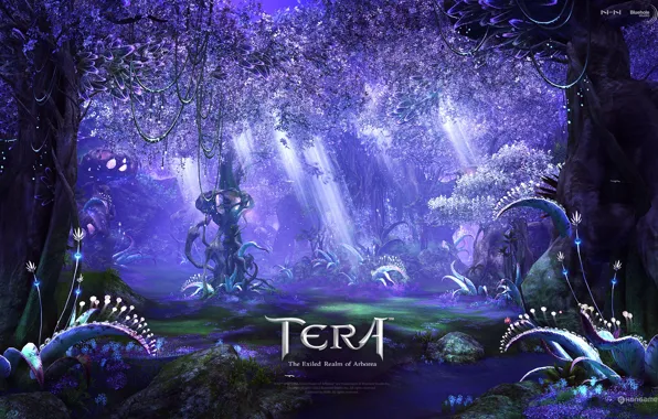 Wallpaper forest, flowers, plant, tera for mobile and desktop, section ...
