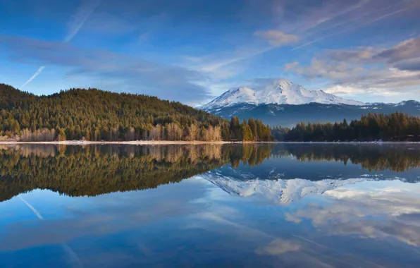 Wallpaper reflection, CA, USA, Lake Siskiyou, Mount Shasta for mobile ...