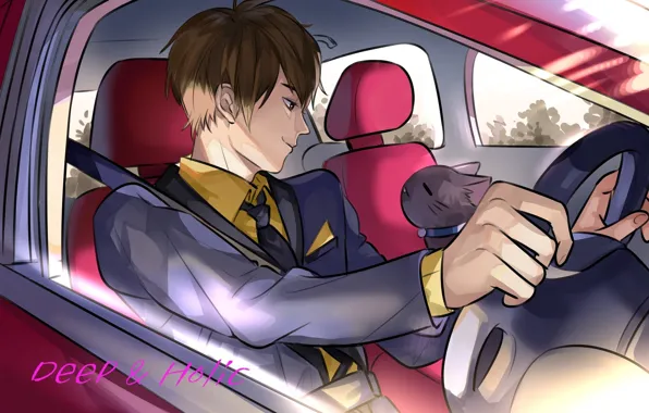 Wallpaper machine, cat, driver, guy, kitty for mobile and desktop ...