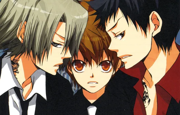 Wallpaper background, guys, trio, mafia, Katekyo Hitman Reborn ...