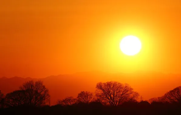 Download wallpaper the sun, trees, sunset, mountains, silhouette, glow ...