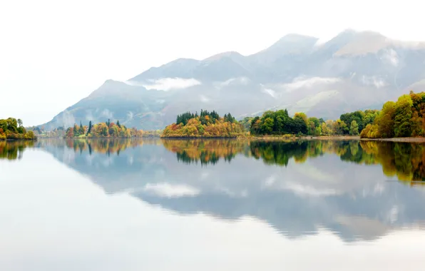Wallpaper trees, mountains, lake, England, Grasmere for mobile and ...