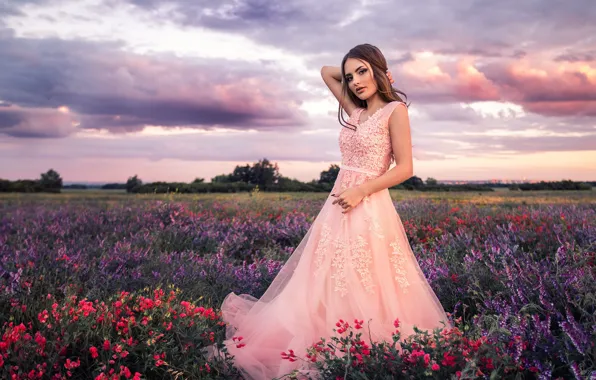 Wallpaper summer, the sky, girl, flowers, pose, the evening, dress ...