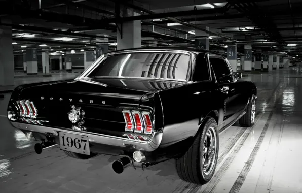 Wallpaper Mustang, Ford, muscle car for mobile and desktop, section ...