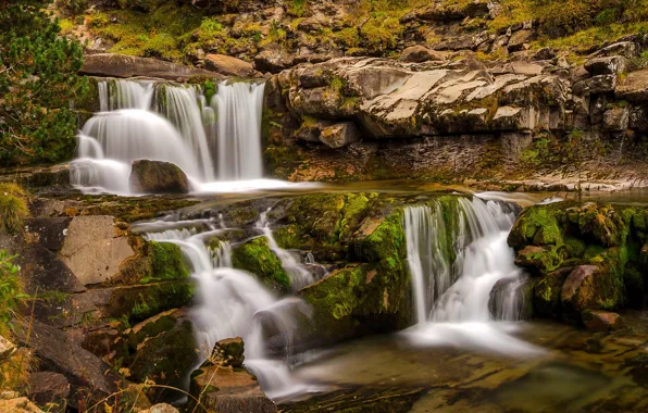 Download wallpaper nature, stream, open, waterfall, stream, section ...