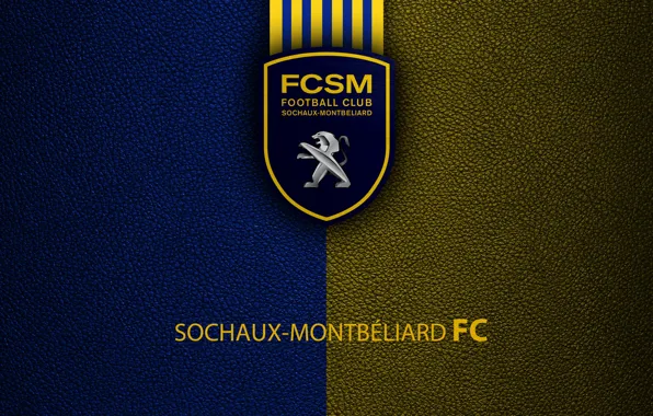 Wallpaper wallpaper, sport, logo, football, Ligue 1, Sochaux ...