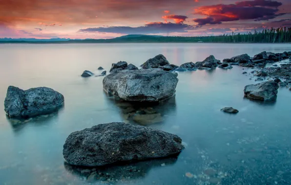 Wallpaper forest, sunset, nature, lake, stones, Yellowstone lake ...