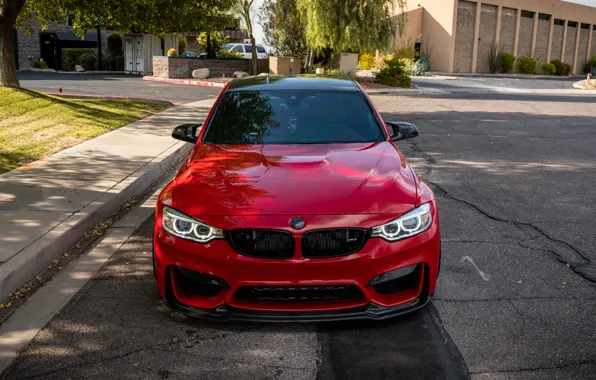 Wallpaper BMW, Front, RED, Face, F80, Sight images for desktop, section ...