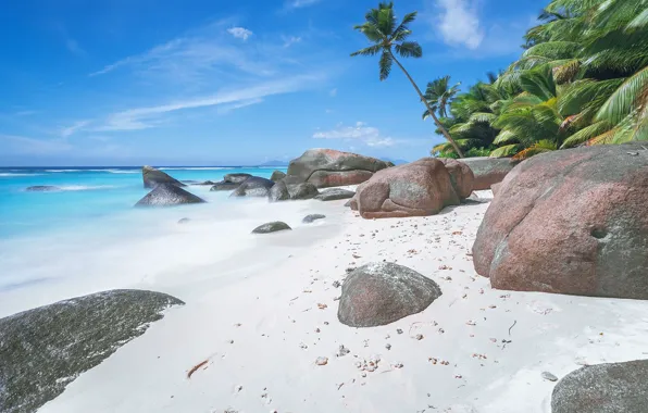 Download wallpaper sea, beach, summer, tropics, stones, palm trees ...