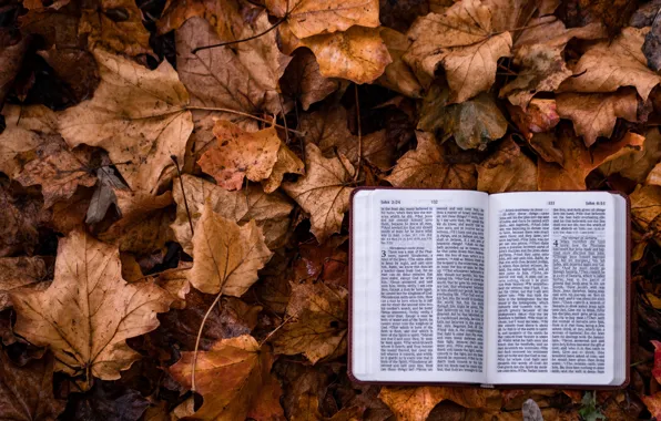 Wallpaper Autumn, Christian, God, Leaf, Bible, Jesus, Aaron Burden ...