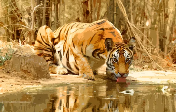Wallpaper language, look, face, water, branches, tiger, pose, shore for ...