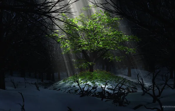 Wallpaper nature, landscapes, Pictures and drawings for mobile and ...