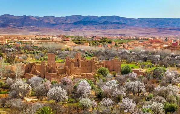 Download wallpaper spring, ruins, Morocco, Kasbah, Tigrent Ninguno, Qal ...