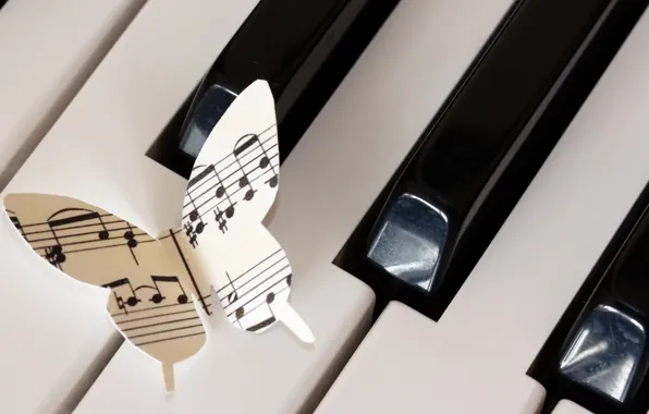 Wallpaper notes, music, butterfly, piano for mobile and desktop ...