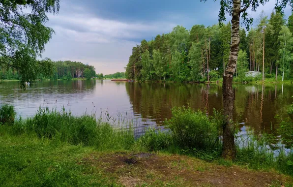 Download wallpaper nature, red, summer, onion lake, section abstraction ...