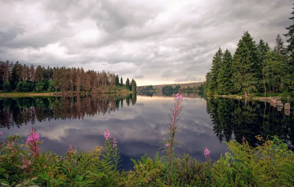 Wallpaper landscape, nature, beauty for mobile and desktop, section ...