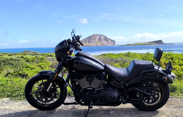Wallpaper Harley, Harley Davidson, Hawaii, 117 for mobile and desktop ...