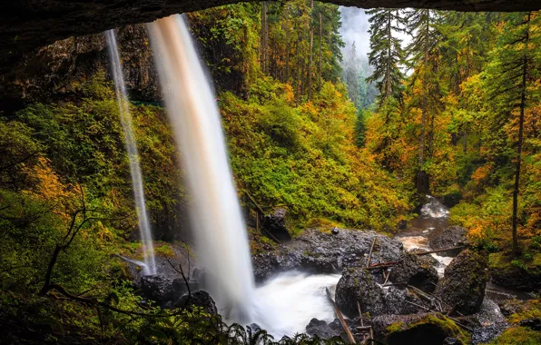 Wallpaper autumn, forest, nature, waterfall, State Park Oregon for ...