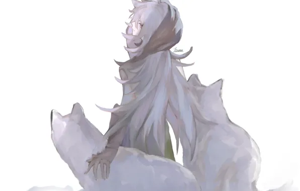 Wallpaper boy, wolves, Razor, Genshin Impact for mobile and desktop ...