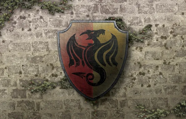 Wallpaper wall, dragon, coat of arms for mobile and desktop, section ...