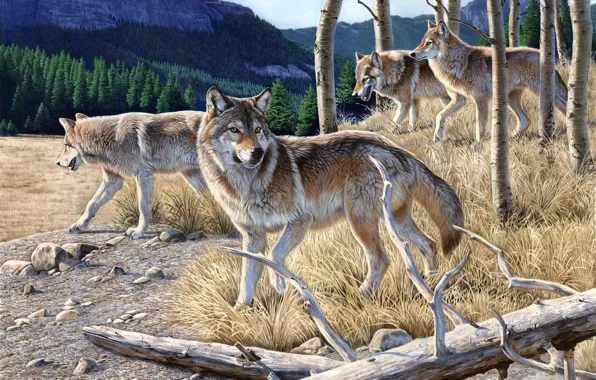 Pack Of Wolves Wallpaper