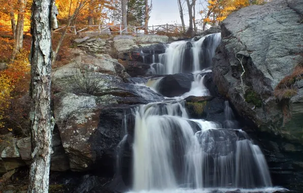 Wallpaper trees, rock, lake, stones, the fence, Waterfall, Wallpaper ...