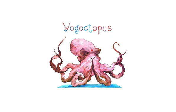Wallpaper minimalism, Octopus, yoga, humor, white background ...