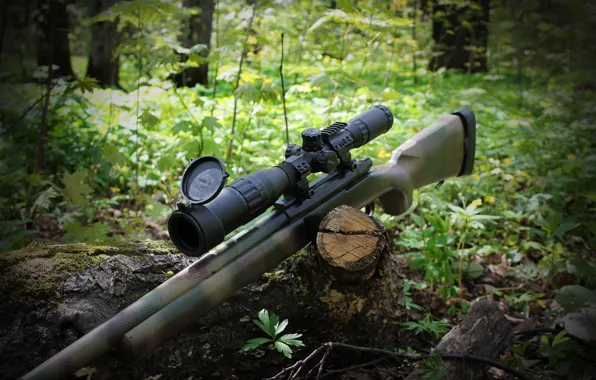 M24 Sniper Rifle Wallpaper