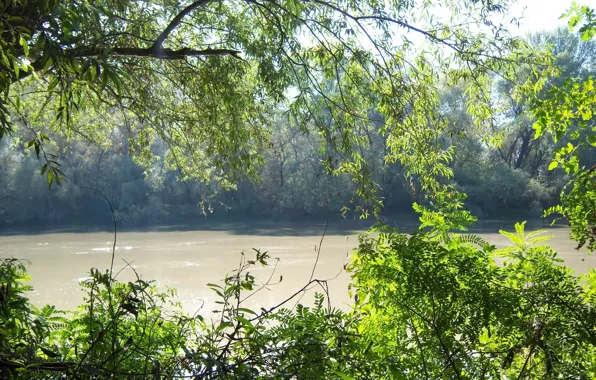 Wallpaper greens, river, duct, Meduzanol © for mobile and desktop ...