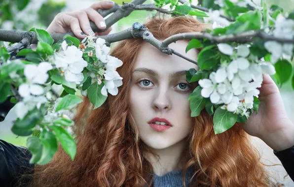 Wallpaper look, girl, face, pose, portrait for mobile and desktop ...