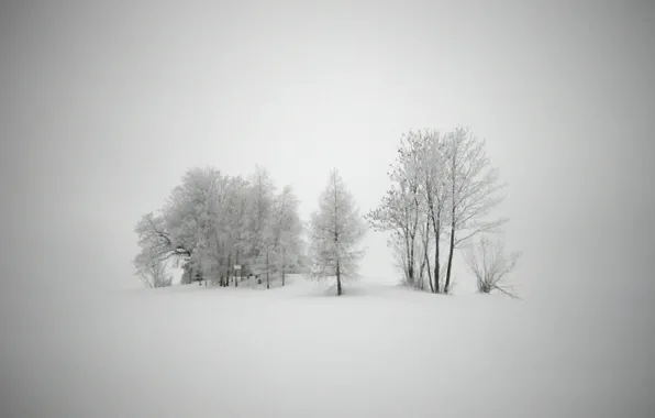 Wallpaper winter, snow, frost, briar for mobile and desktop, section ...