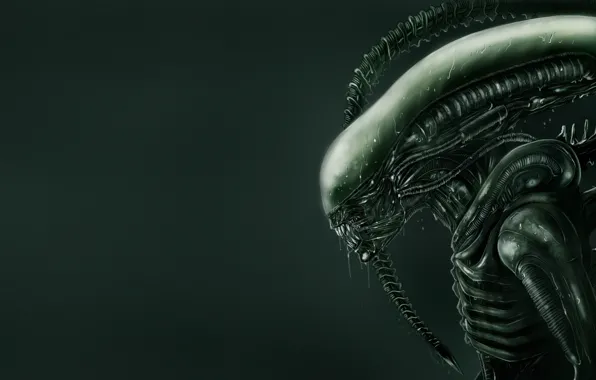 Wallpaper Being, Monster, Stranger, Monster, Horror, Horror, Xenomorph ...