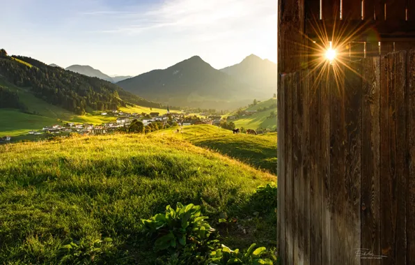 Wallpaper forest, summer, the sun, rays, hills, home, Stefan Thaler for ...