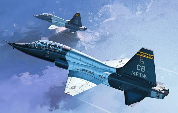 Wallpaper USA, T-38C Talon, Training aircraft, US Airforce, Northrop T ...