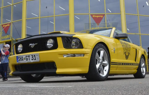 Wallpaper car, Mustang, museum for mobile and desktop, section ford ...