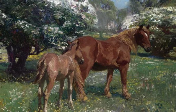 Wallpaper animals, landscape, nature, picture, Horse Mare and new foal ...
