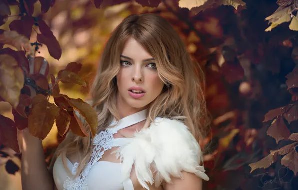 Wallpaper look, leaves, branches, style, mood, model, feathers, Jolie ...