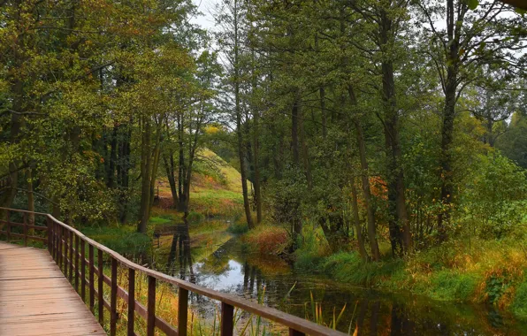 Wallpaper landscape, nature, river for mobile and desktop, section ...
