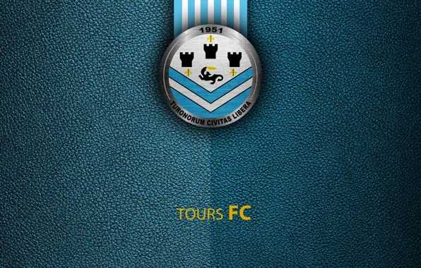 Wallpaper wallpaper, sport, logo, football, Ligue 1, Towers for mobile ...