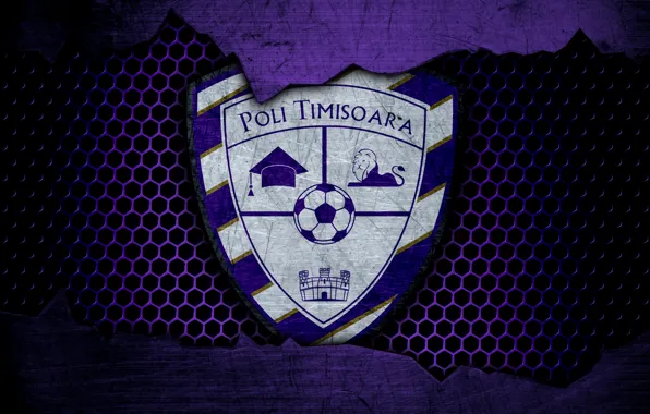 Wallpaper wallpaper, sport, logo, football, Hand. for mobile and ...