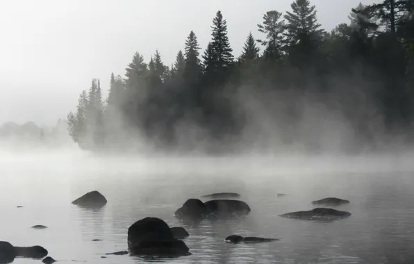 Wallpaper Fog, Lake, Forest, Morning, Nature, Landscape, Morning, Fog ...