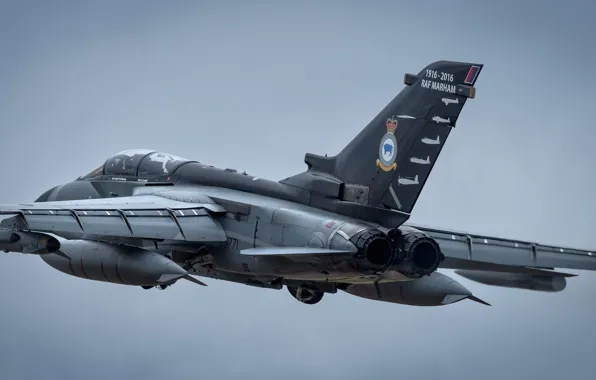 Wallpaper flight, flies, Tornado GR4, combat aircraft images for ...