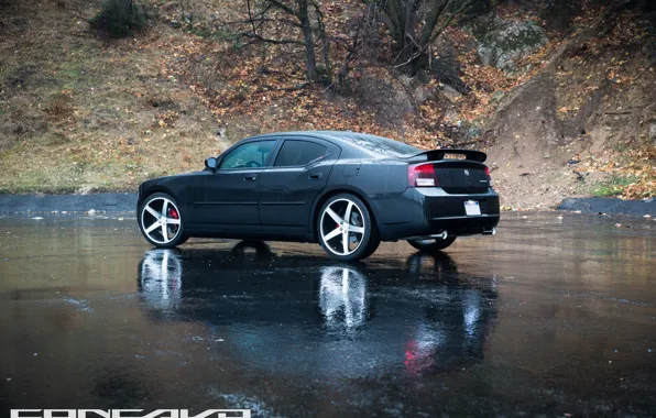 Wallpaper machine, auto, trees, slide, Dodge, spoiler, drives, auto for ...