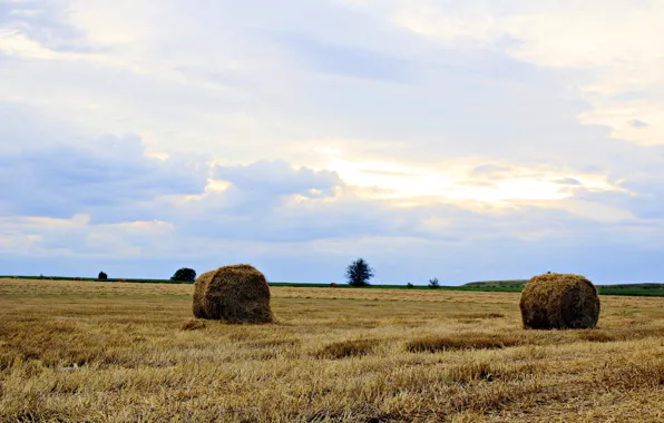 Download wallpaper summer, the sun, sunset, nature, section landscapes ...