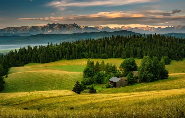 Download wallpaper field, forest, mountains, hills, house, section ...