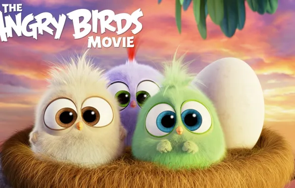 Wallpaper cartoon, egg, socket, birds, Angry Birds Movie images for ...