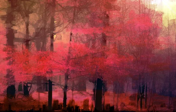 Wallpaper nature, color, form, rostenie for mobile and desktop, section ...