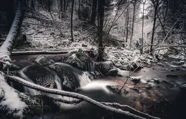 Download wallpaper winter, forest, snow, river, frozen, Scotland ...