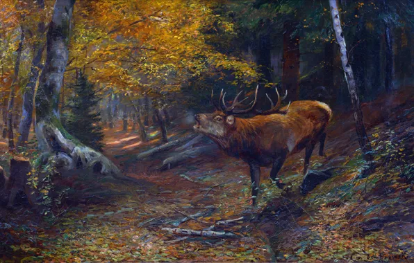 Wallpaper Autumn, Trees, Forest, Picture, Deer, Horns, German animal ...